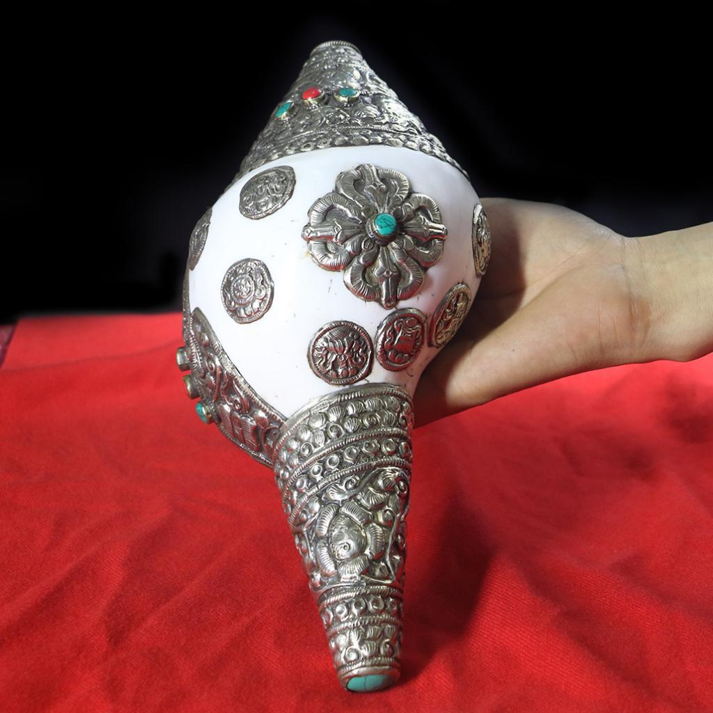 Conch Shell Horn Very LOUD! Caribbean Triton Sea Shell Horn Large 10 ...